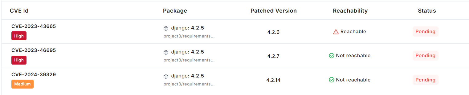 Reachability Analysis for Vulnerable Packages - Flyingduck Documentation